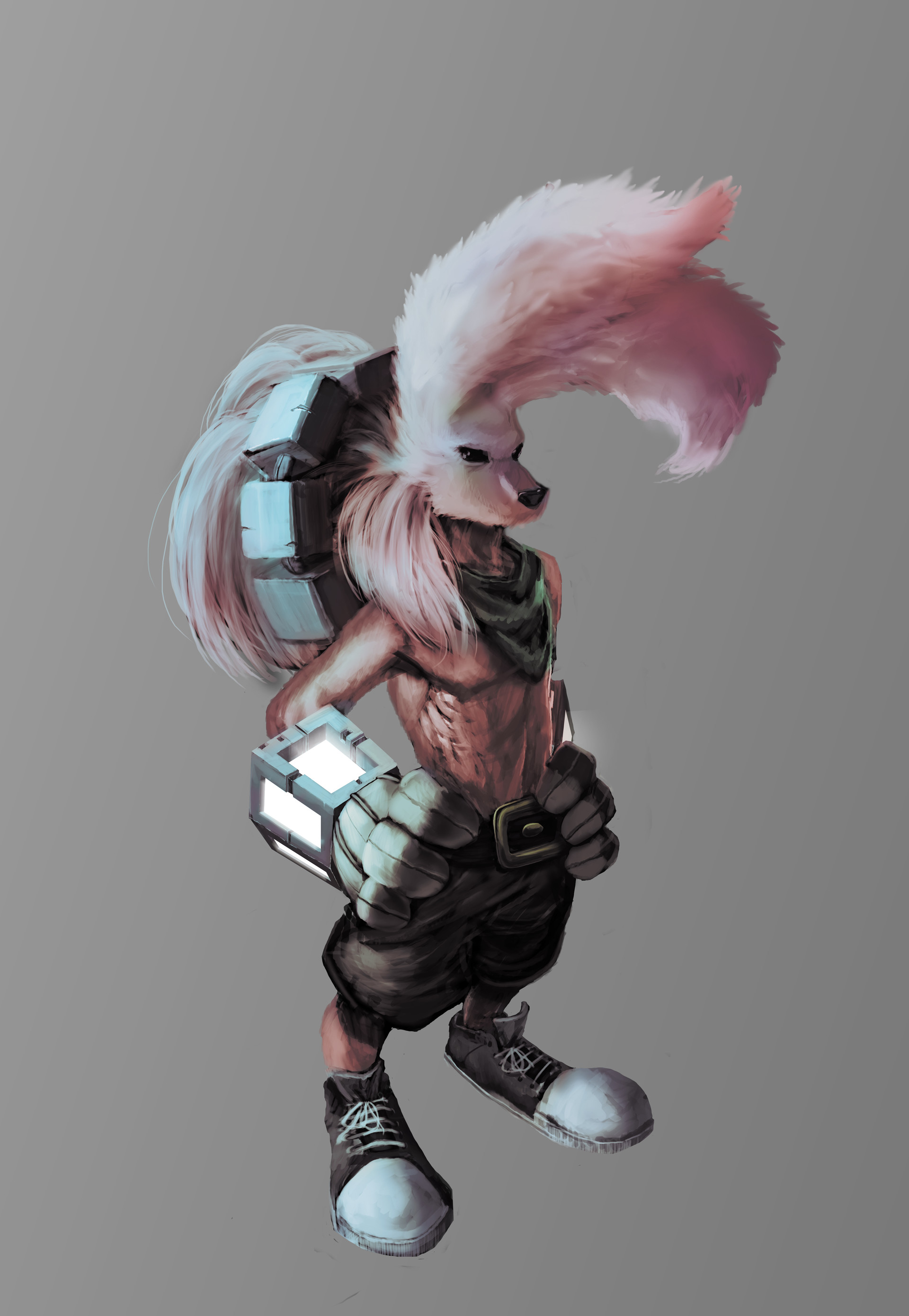 Rabbit Characters Design