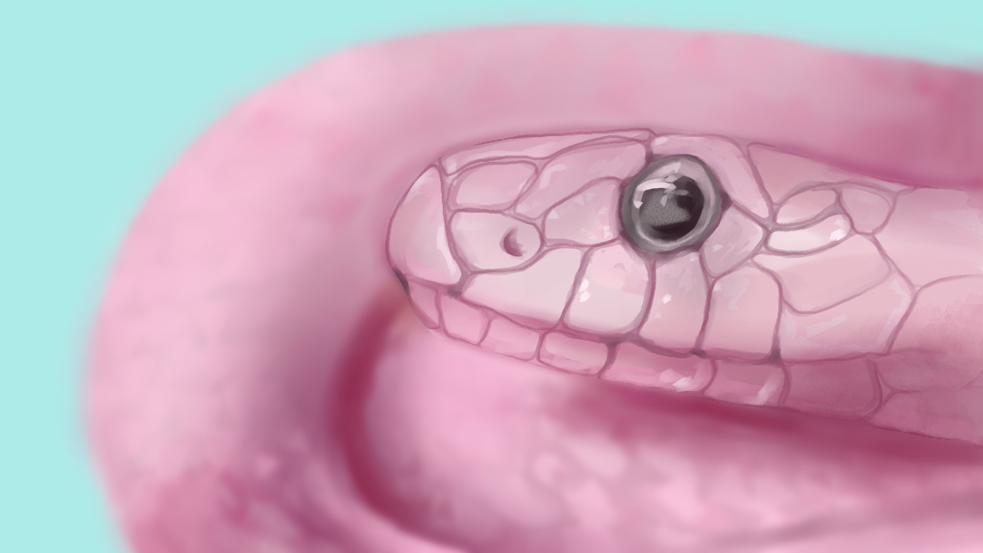 ArtStation - snaking snake