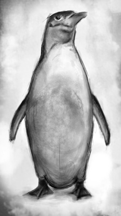 ArtStation - Penguin