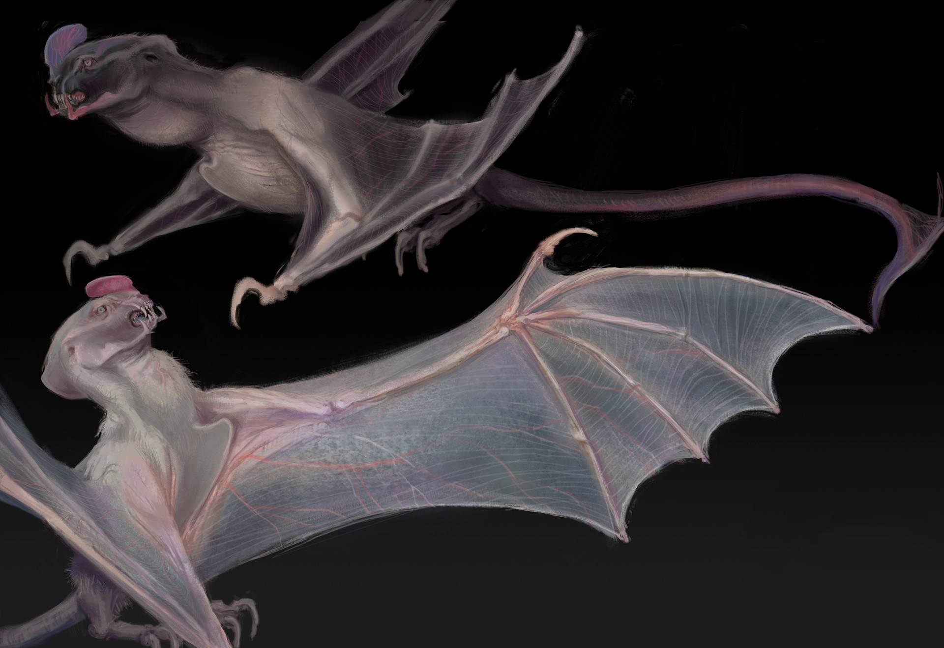 ArtStation - Lesser cave wyverns