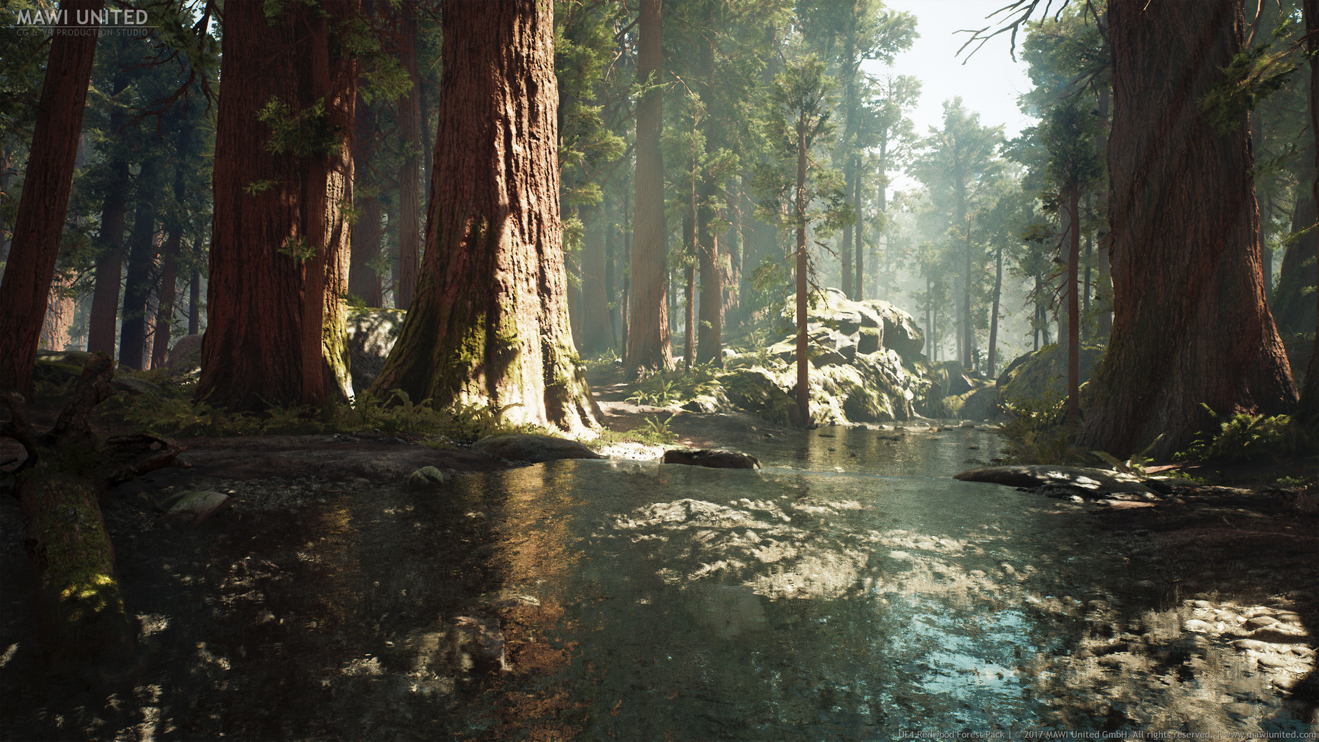 MAWI United - UE4 Redwood Forest V2