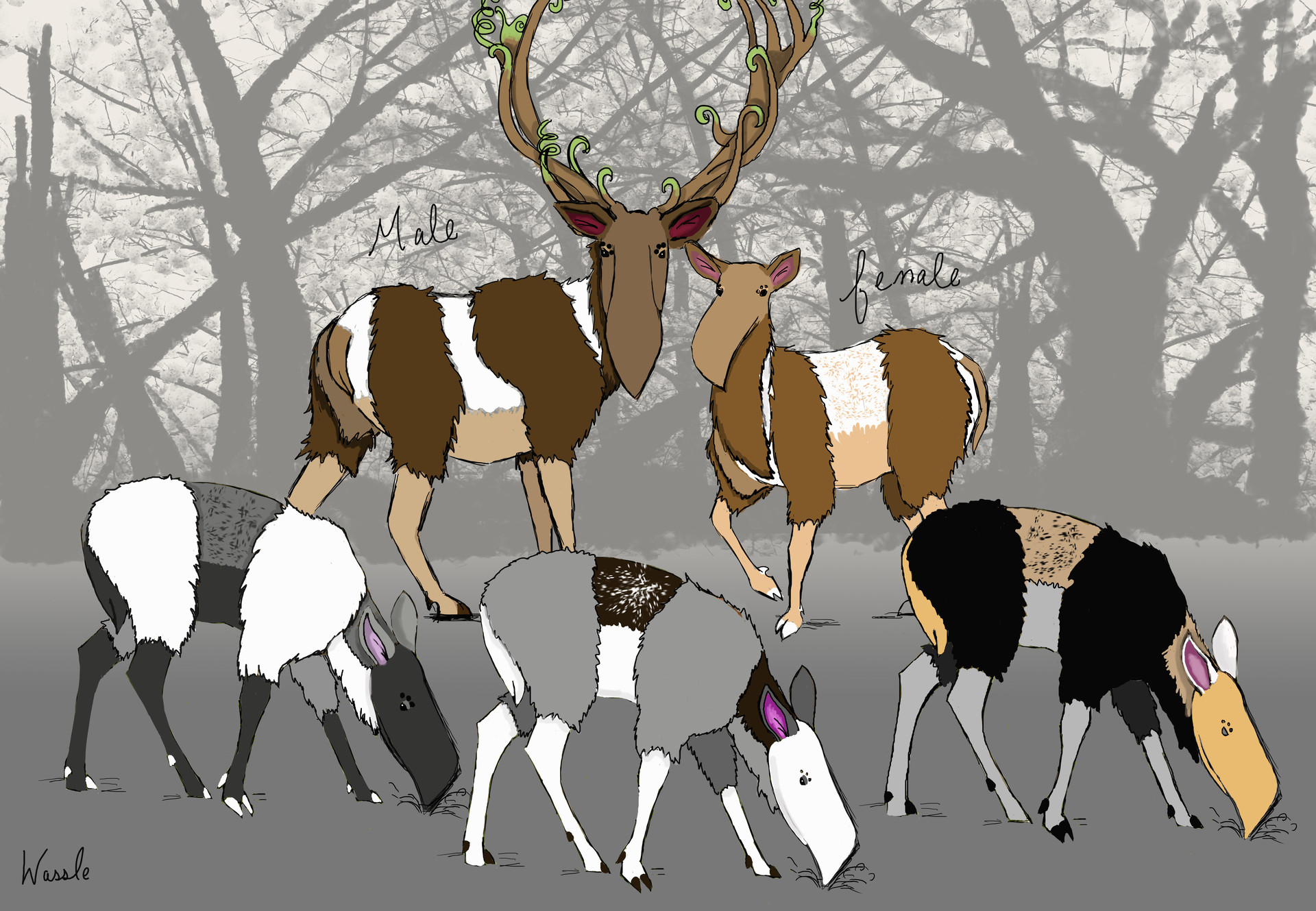 ArtStation - The Wassel