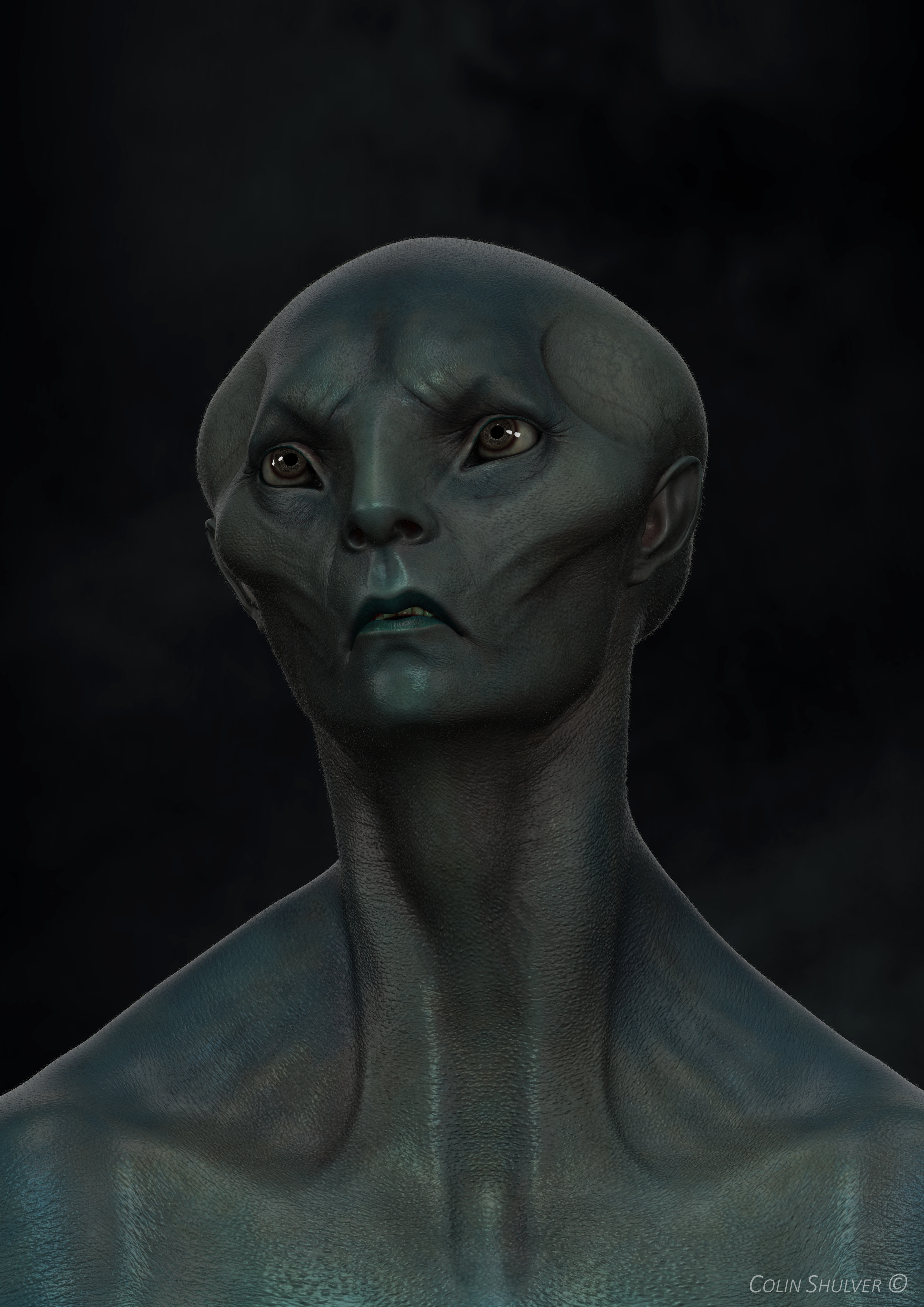 COLIN SHULVER - Humanoid Alien