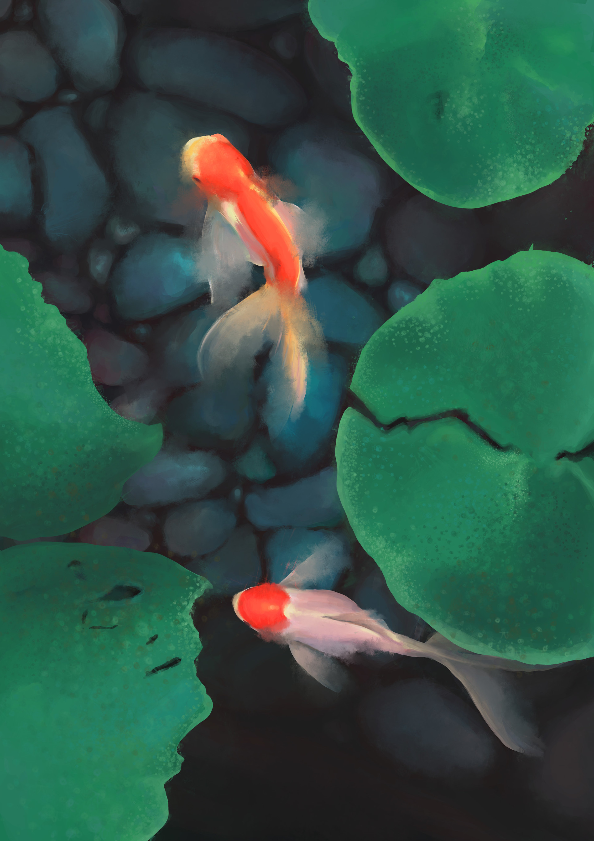 ArtStation - Koi Fish