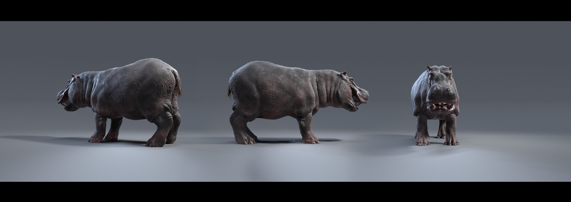 ArtStation - hippo