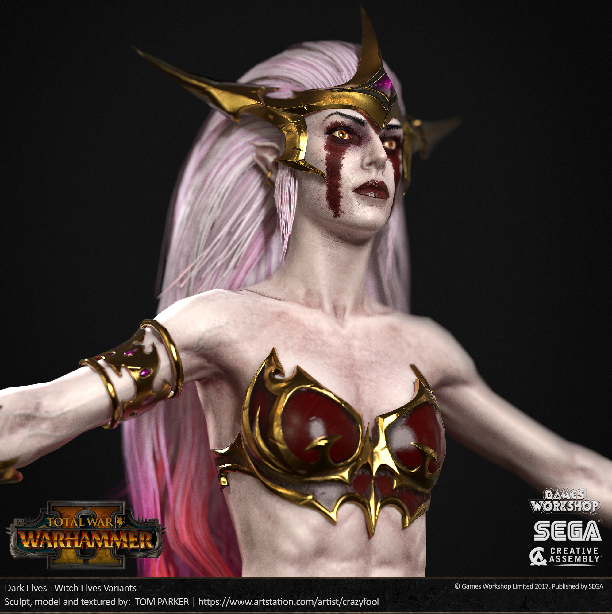 Tom Parker - Total War Warhammer 2 - Dark Elf Witch Elves