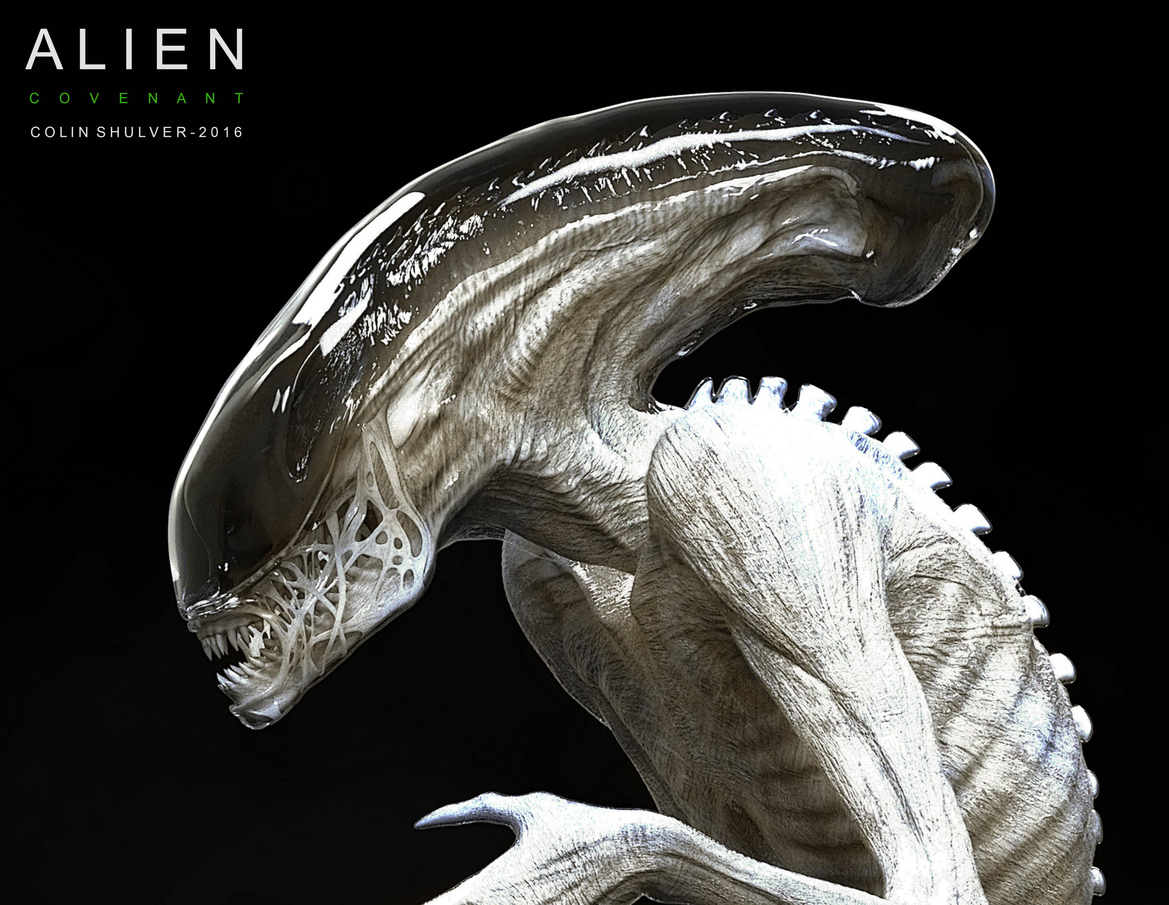 COLIN SHULVER - Alien Covenant - Early Neomorph Concepts