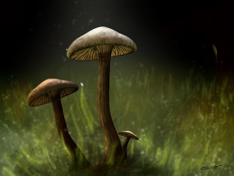 ArtStation - AMUDHAN C