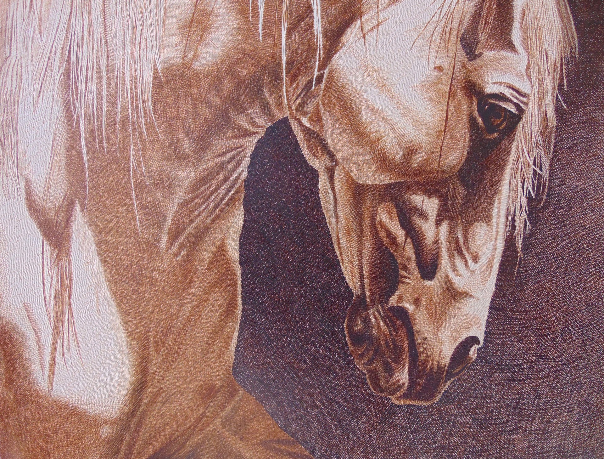 ArtStation - A Master Piece of Pen & Ink Art