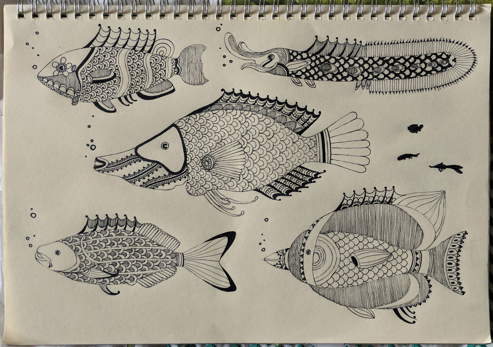 Laura Jayne - Fish of Louis Renard