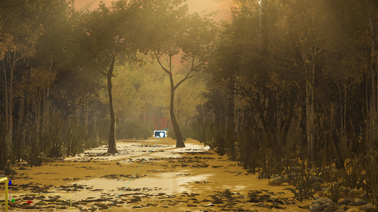 Ayan Banerjee - Forest Road