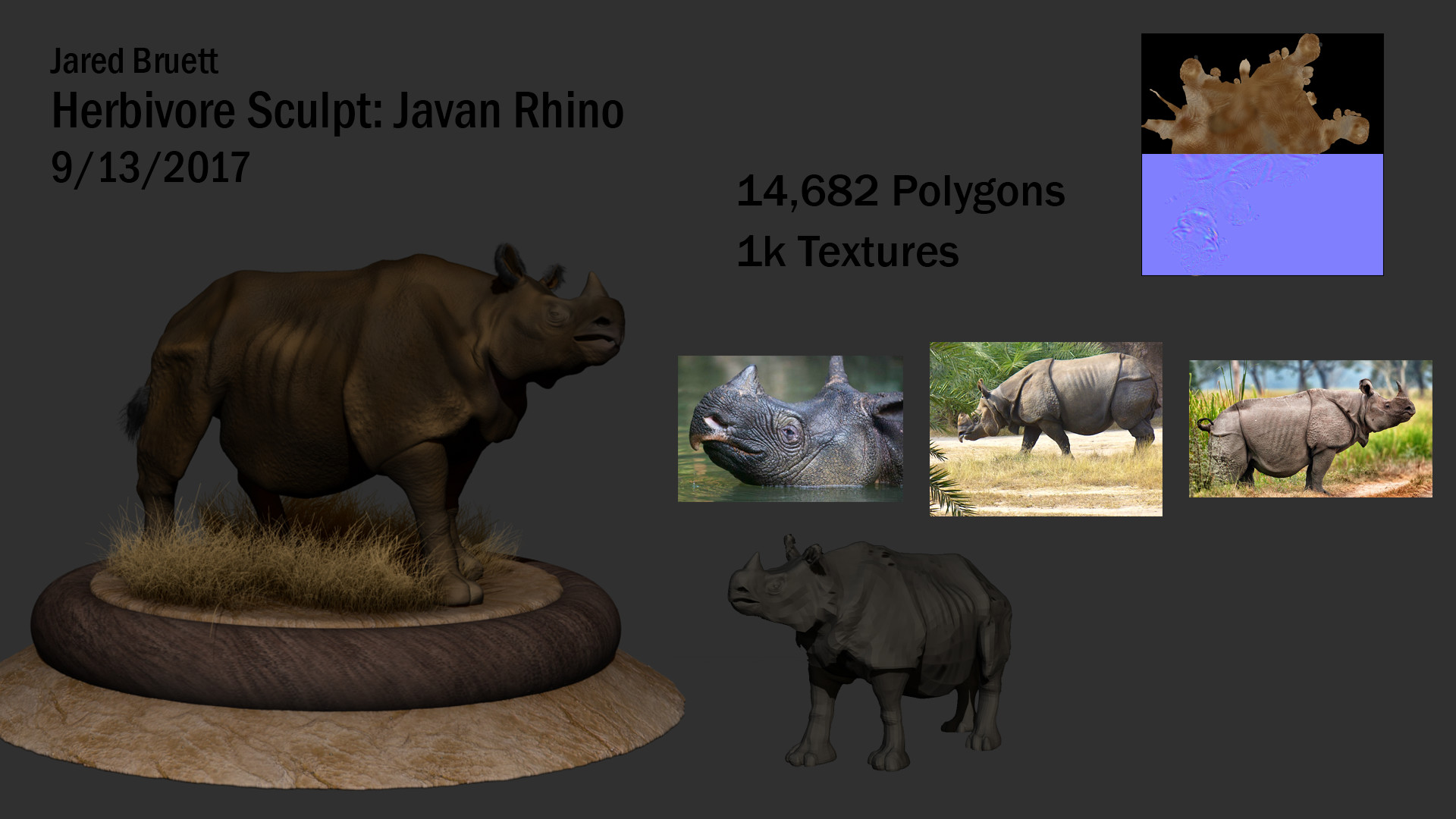 ArtStation - Javan Rhino: 3D Model