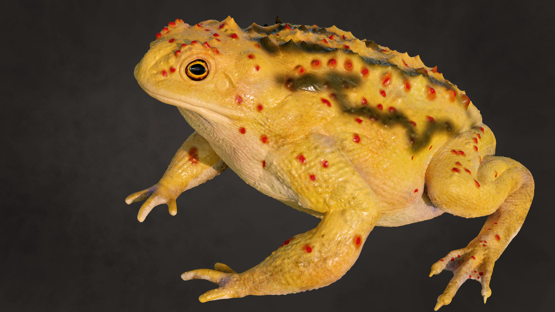 ArtStation - Yellow Toad