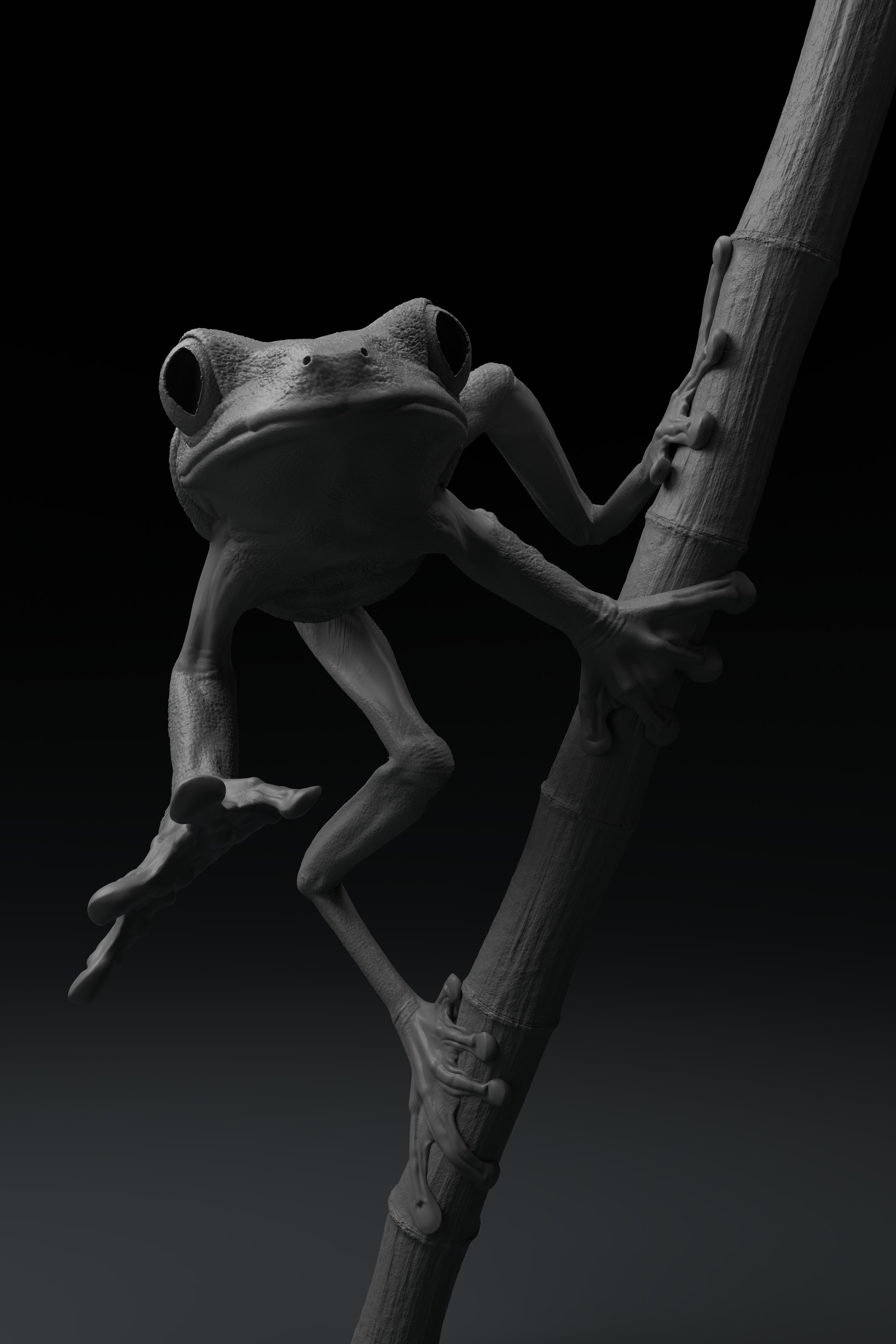 ArtStation - Red Eye Tree Frog