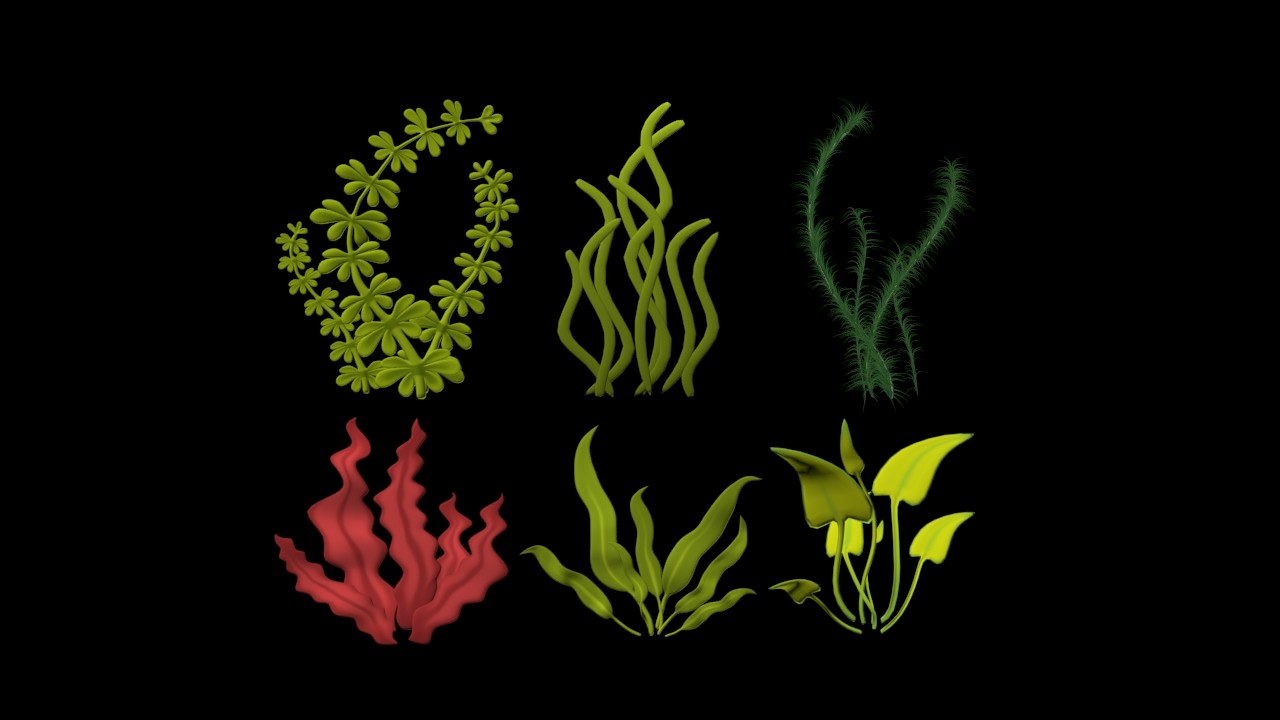 ArtStation - Seaweed