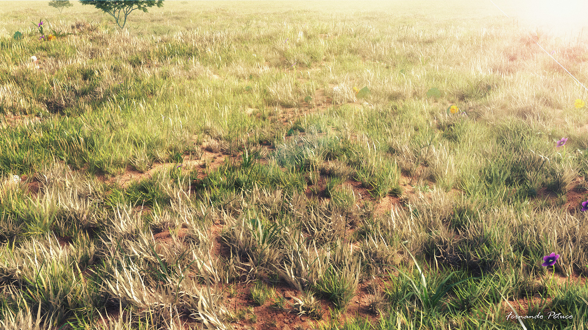 ArtStation - Grass Field