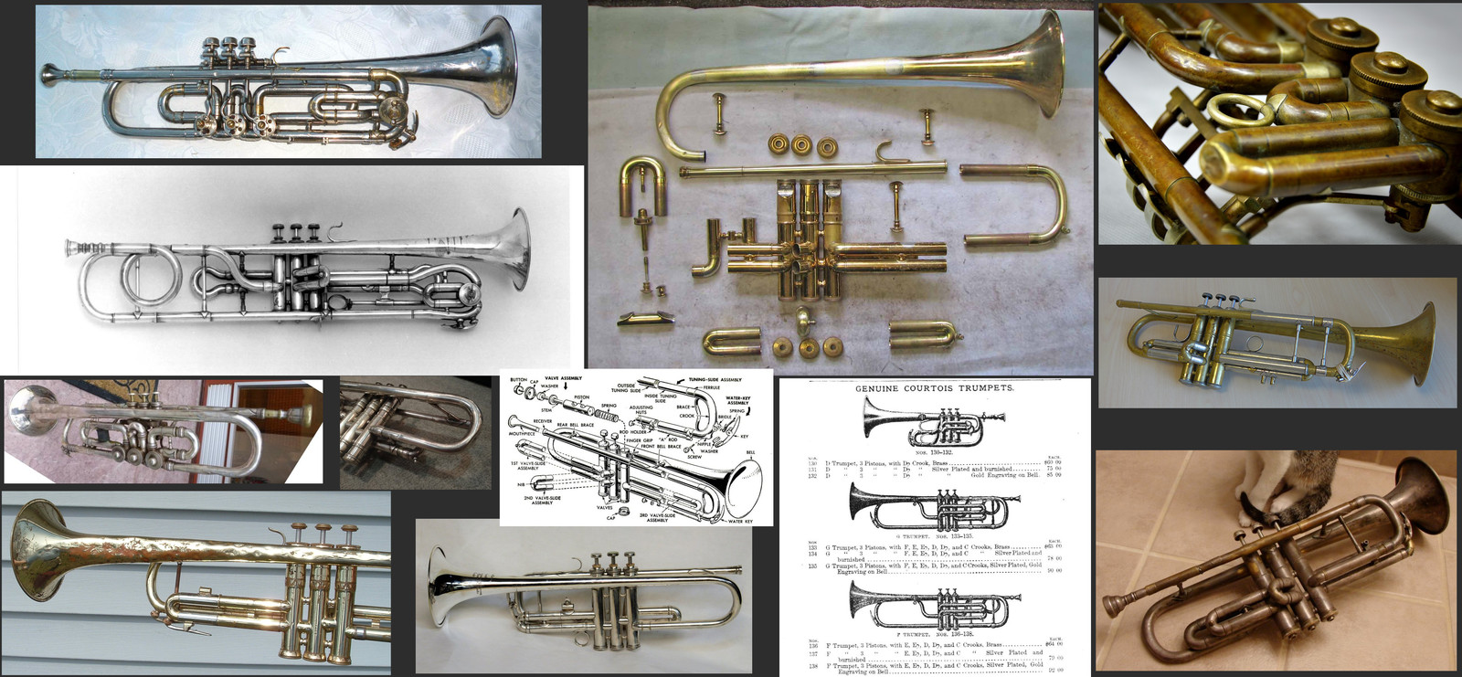 Timothy Teague - Antique Trumpet
