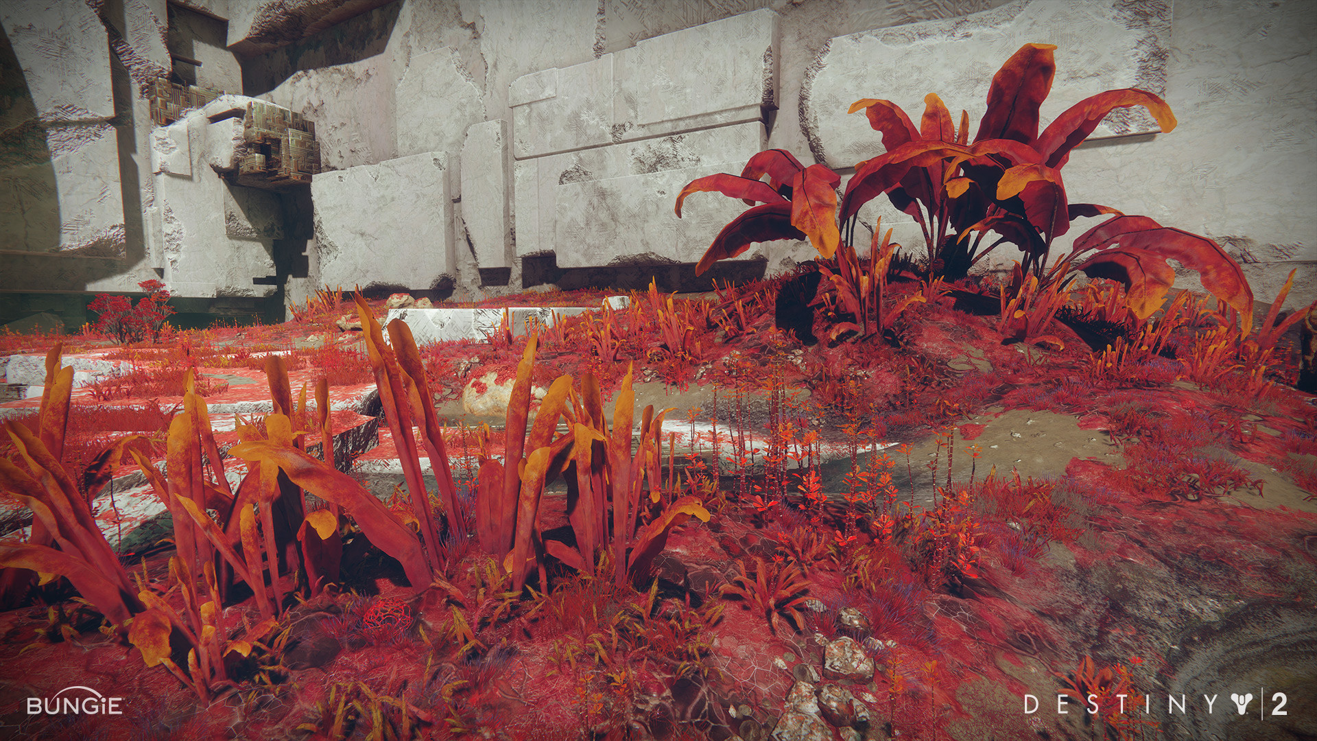 Steven Klipowicz - Destiny 2 Nessus Natural Palette