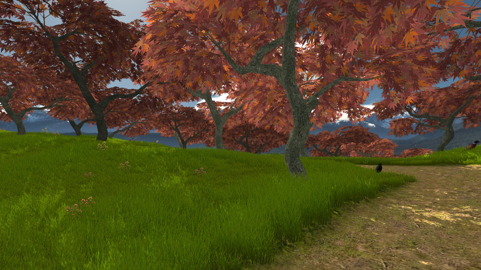 Justin Thrailkill - Grasslands level for bird call game in Unity