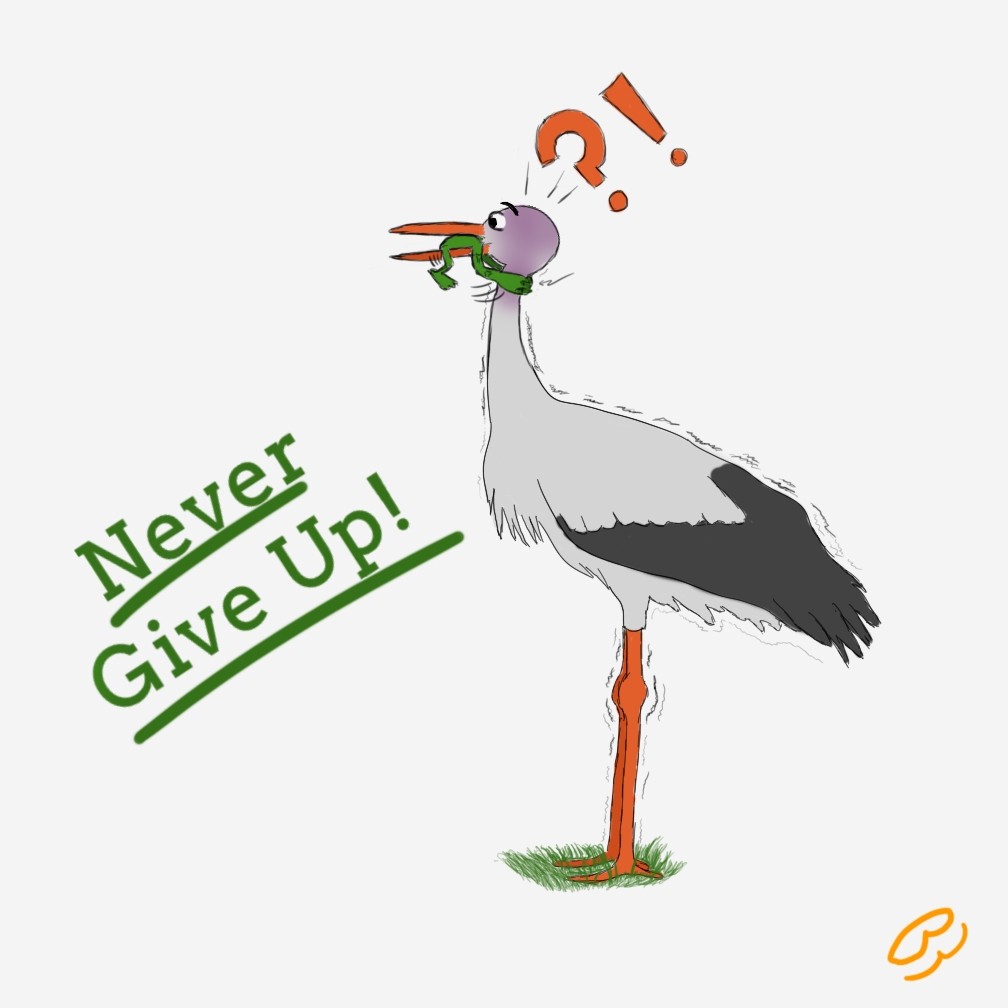 Never Give Up Frog Choking Bird