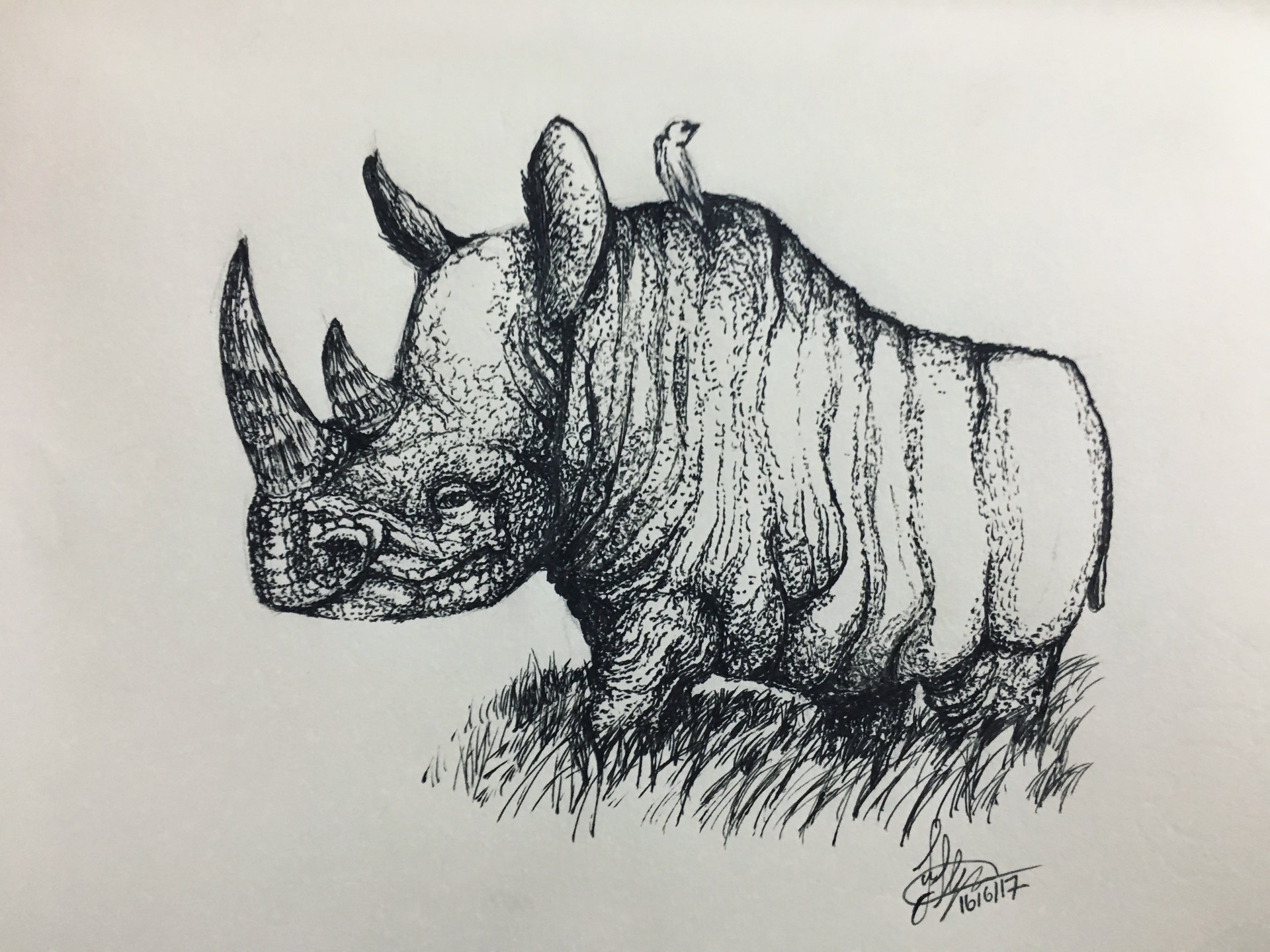 ArtStation - rhino ink drawing