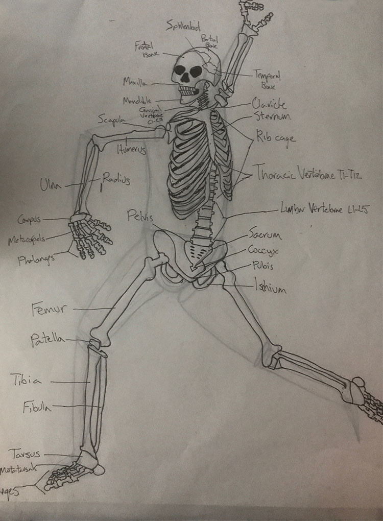 Roger Minnema - Simple Figure Transformation