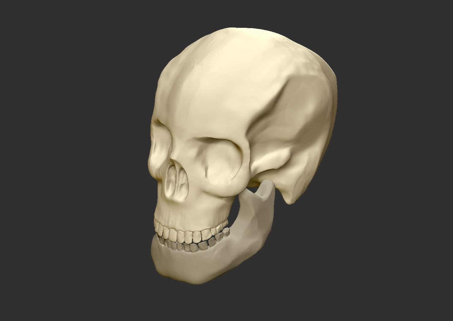 Dennis Sheridan - 3D Human Skull