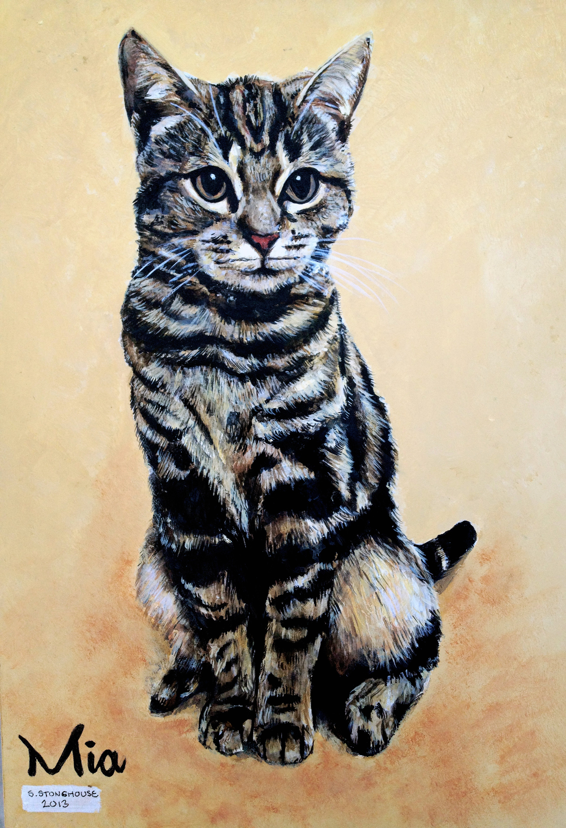 ArtStation - Mia the Tabby