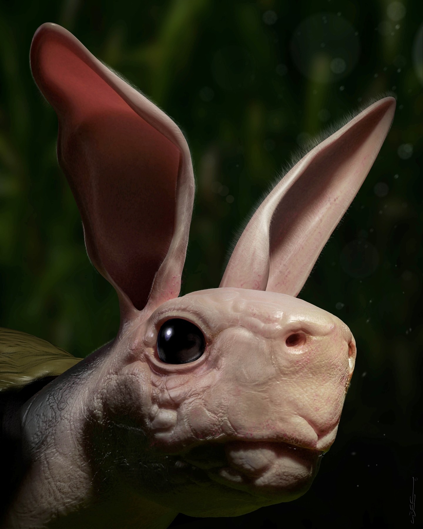 ArtStation - My pet Louise