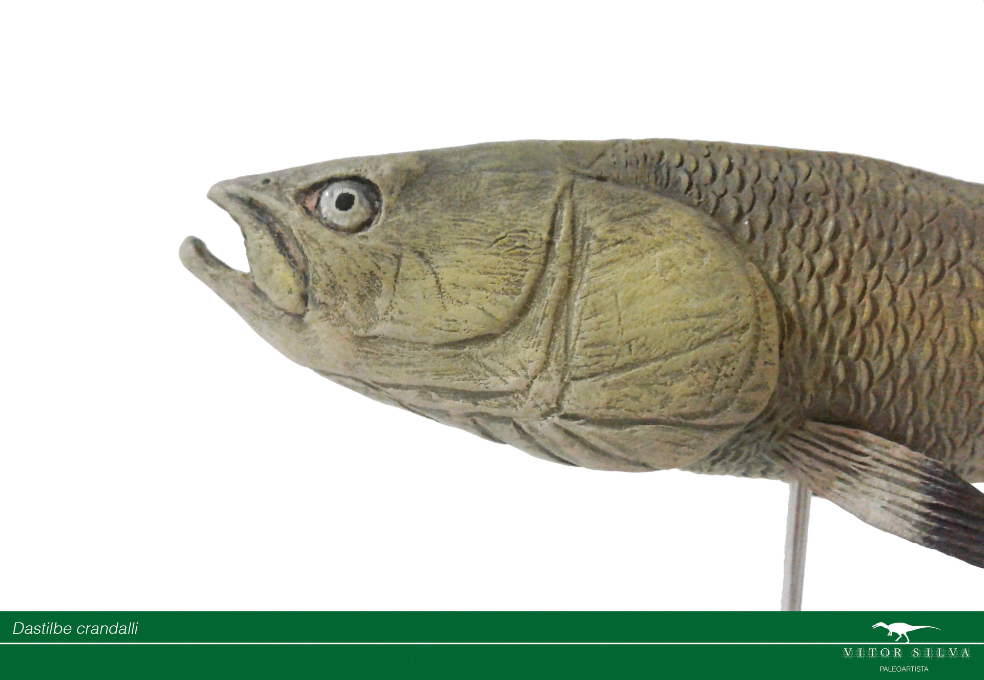 Vitor Silva - Dastilbe