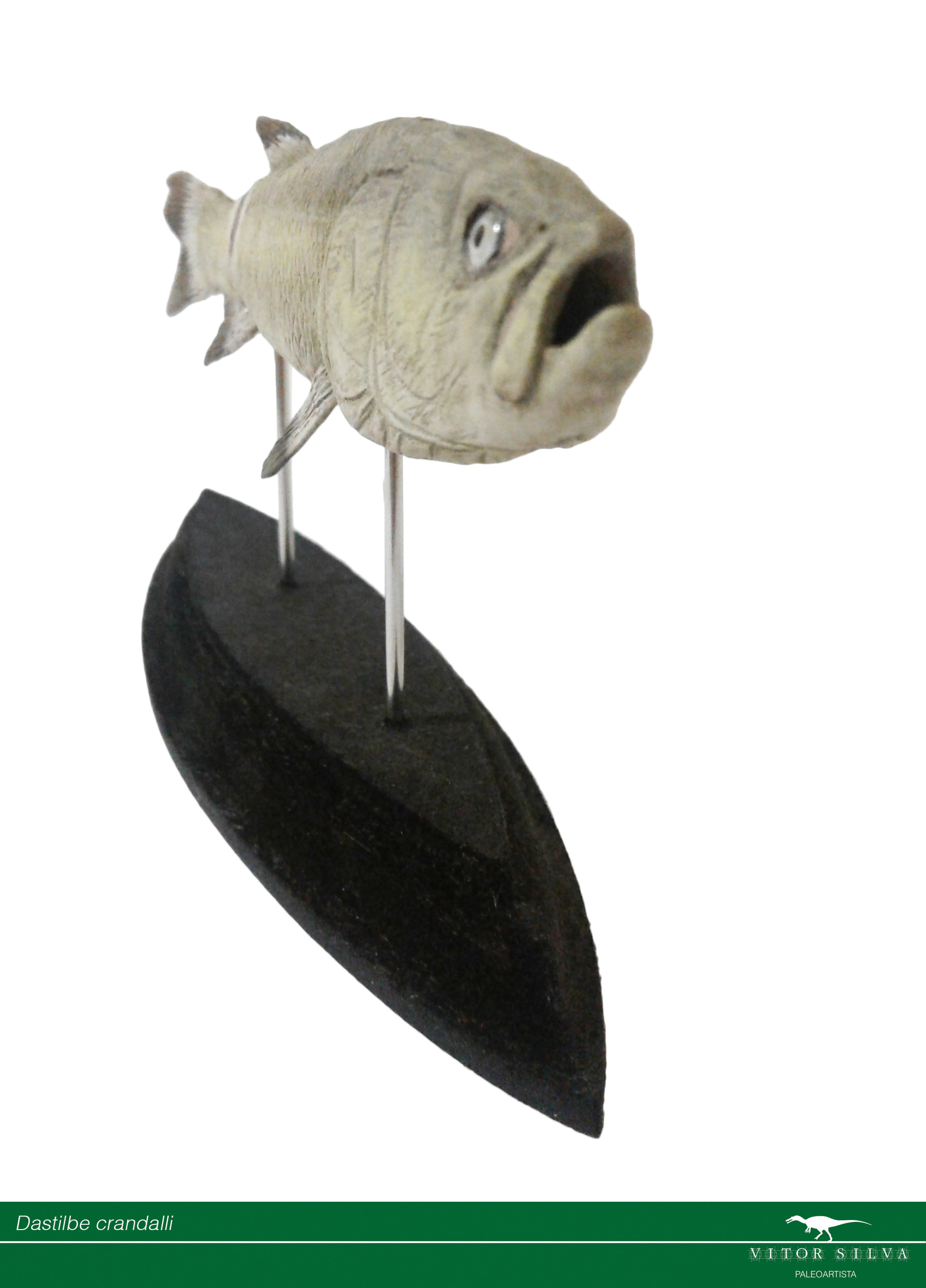 Vitor Silva - Dastilbe