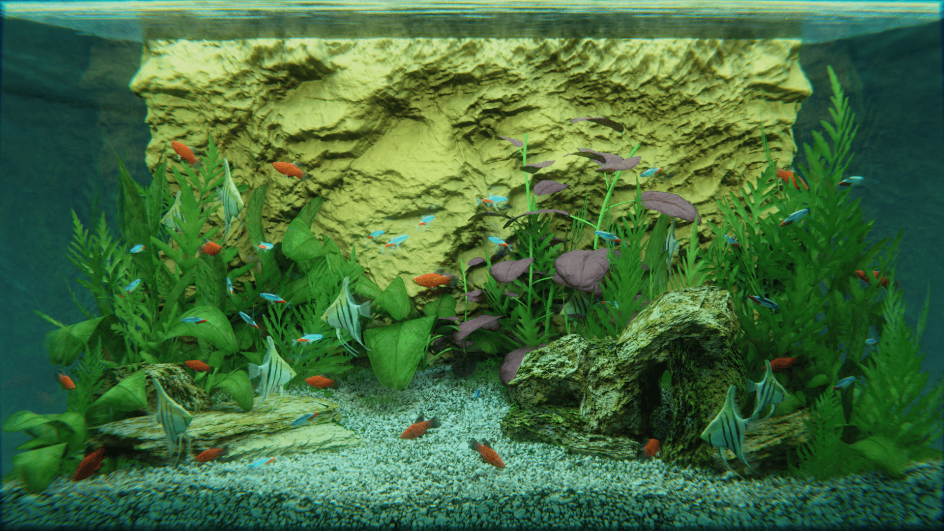 ArtStation - Freshwater aquarium