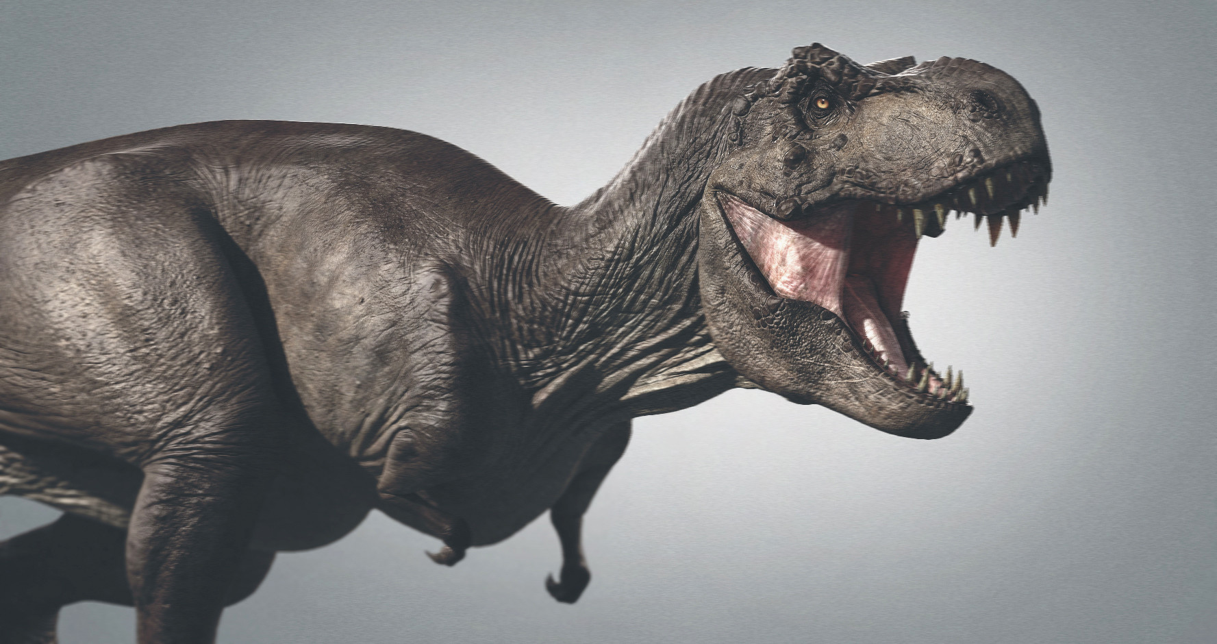 ArtStation - T-Rex animations