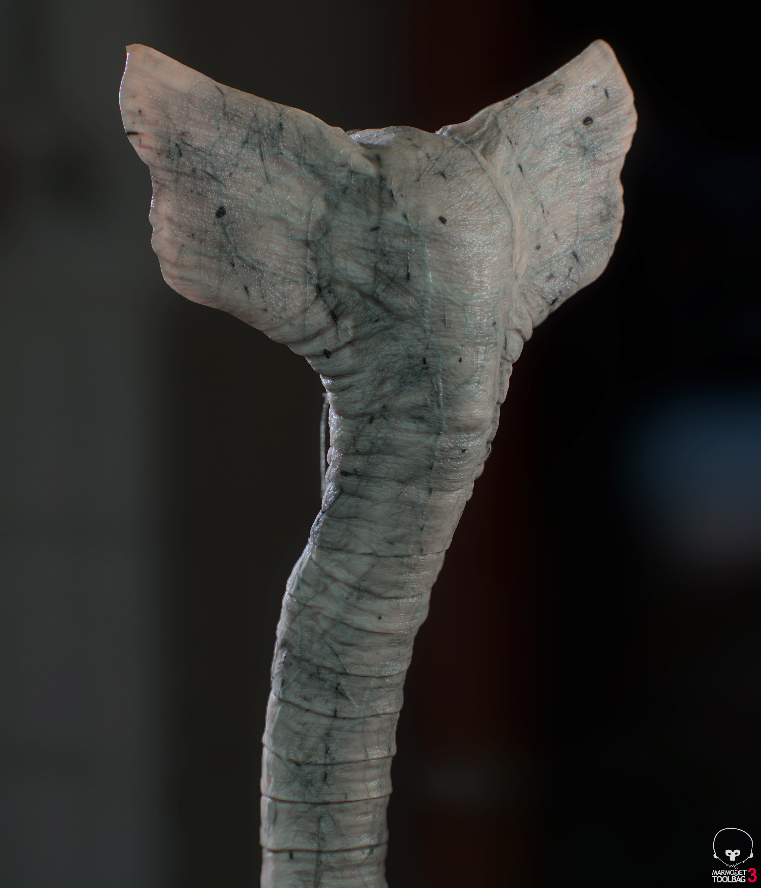 Snake Alien Prometheus