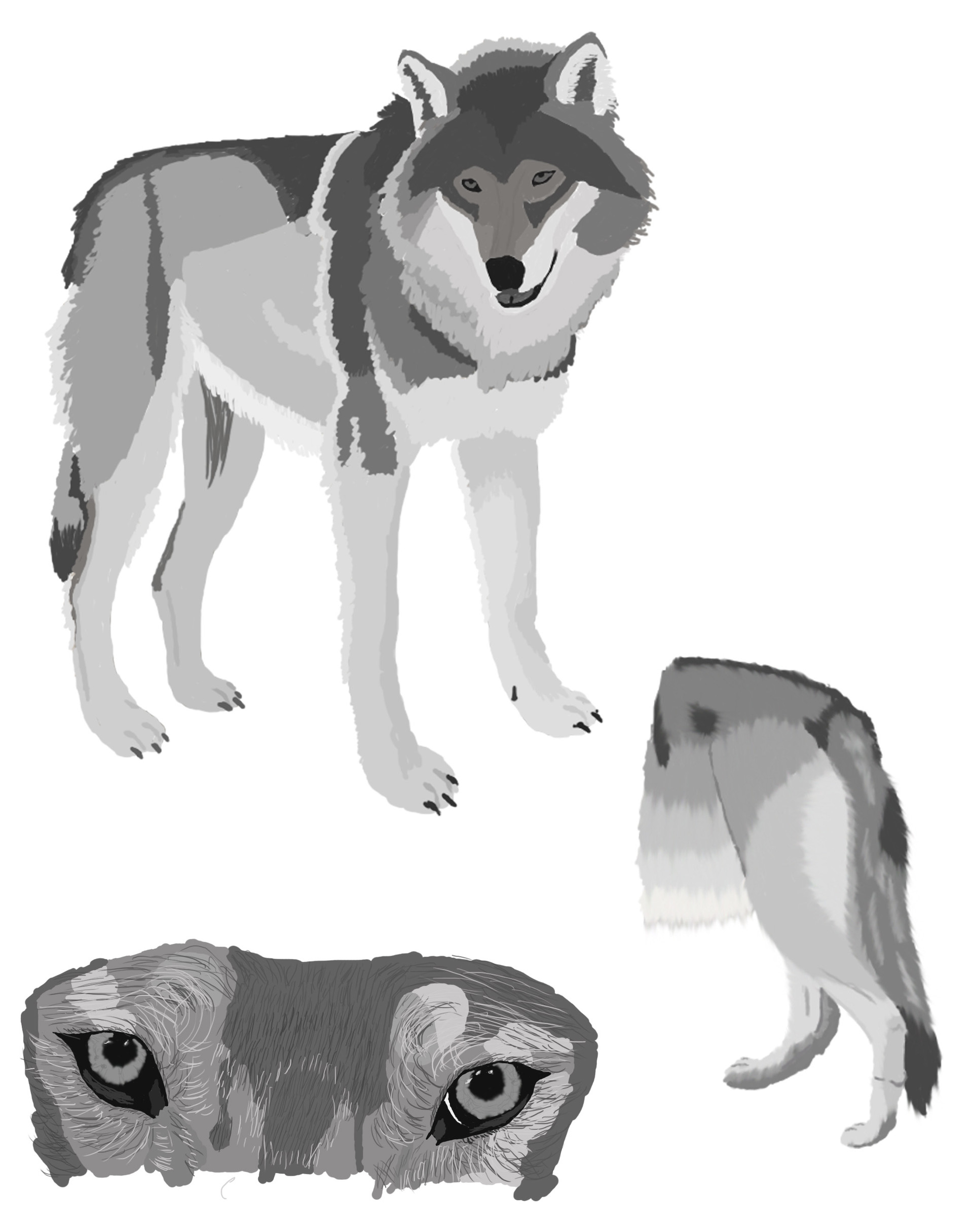 Aaron Ward - Ward_Aaron_3F_ART2-O_1704