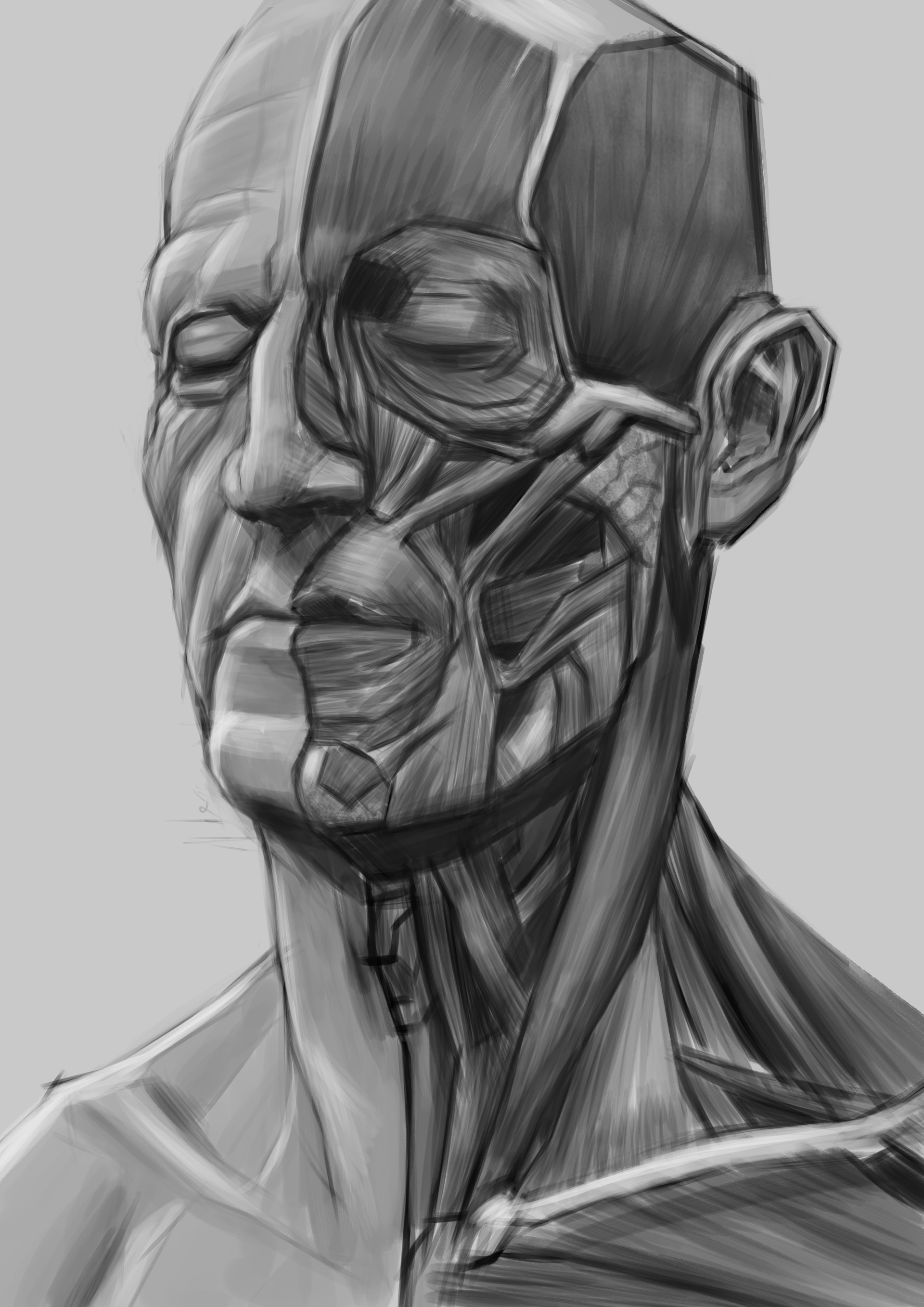 ArtStation - Facial anatomy