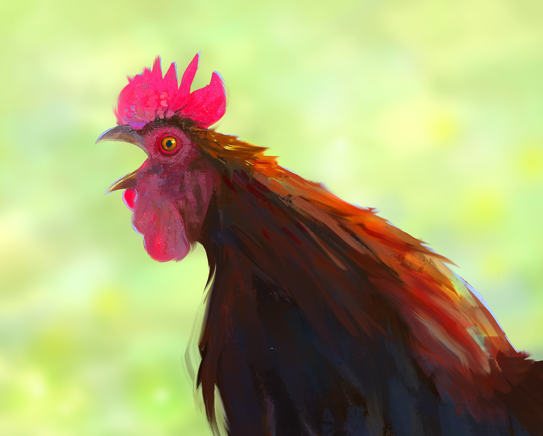 ArtStation - Rooster Study