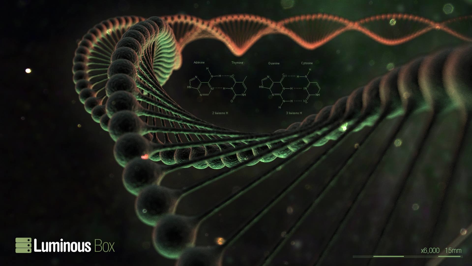 ArtStation - ADN CHAIN - (Medical Visualization)