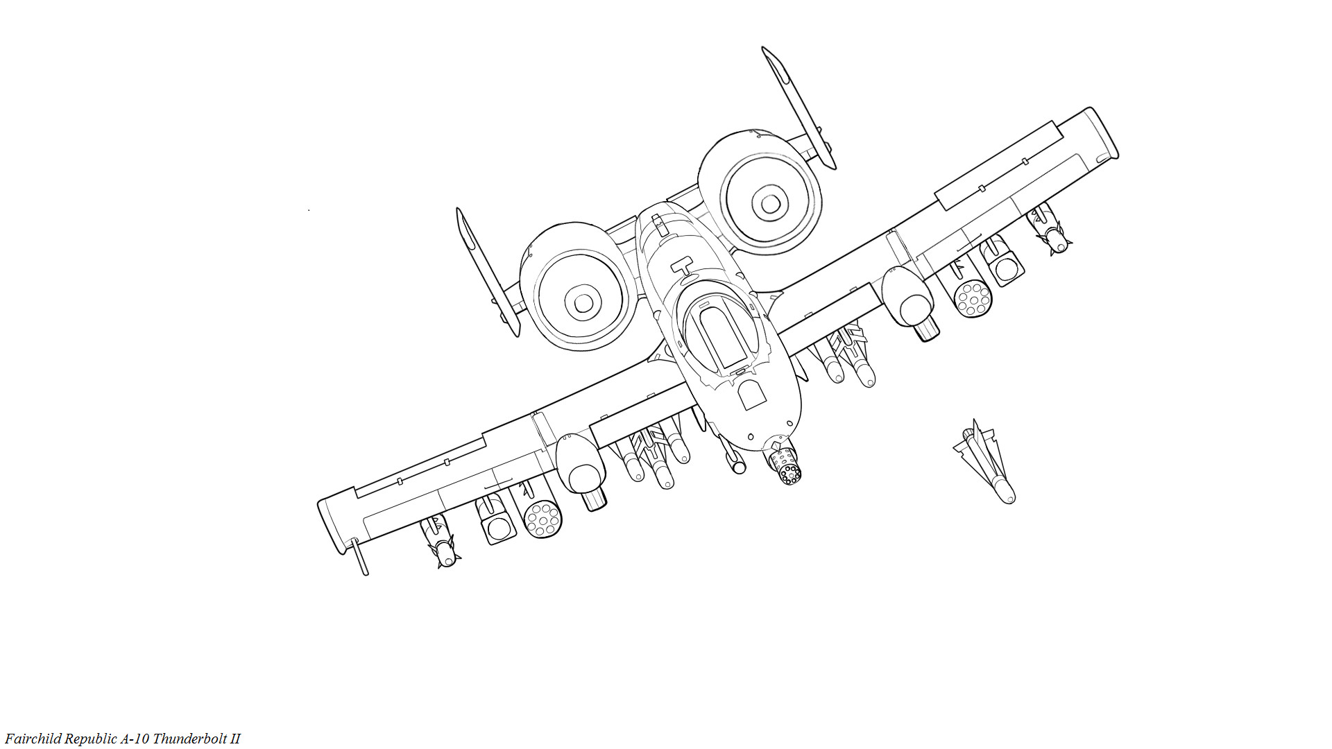 a 10 warthog coloring pages
