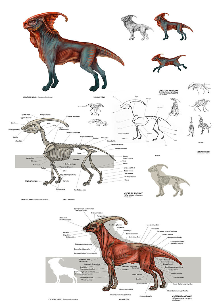 Glen Southern - Creature Anatomy