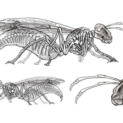 Glen Southern - Portfolio