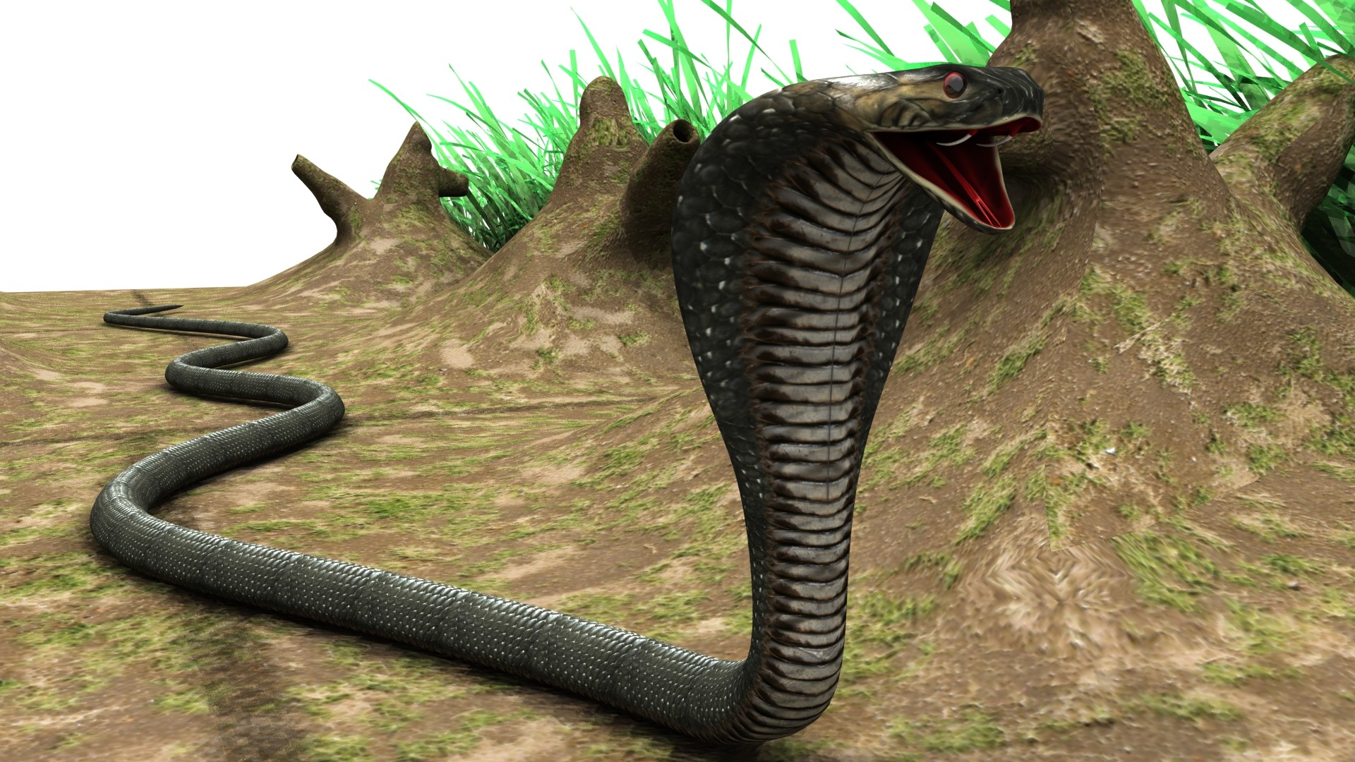 ArtStation - Snake_Modelling_Texturing