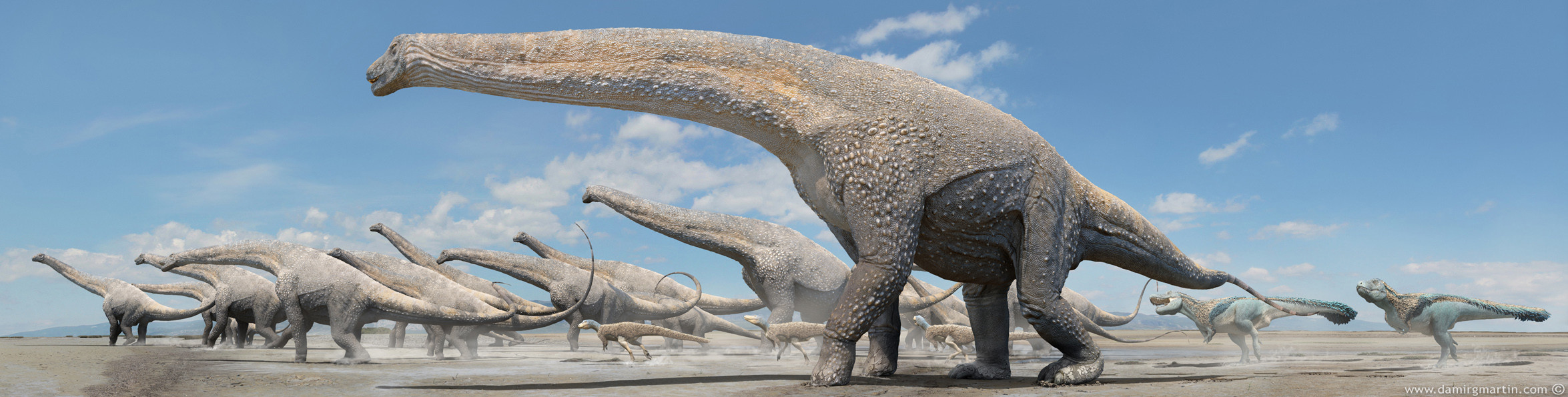 A pack of tyrannosaurs trying to cut out an older Alamosaurus from the ...