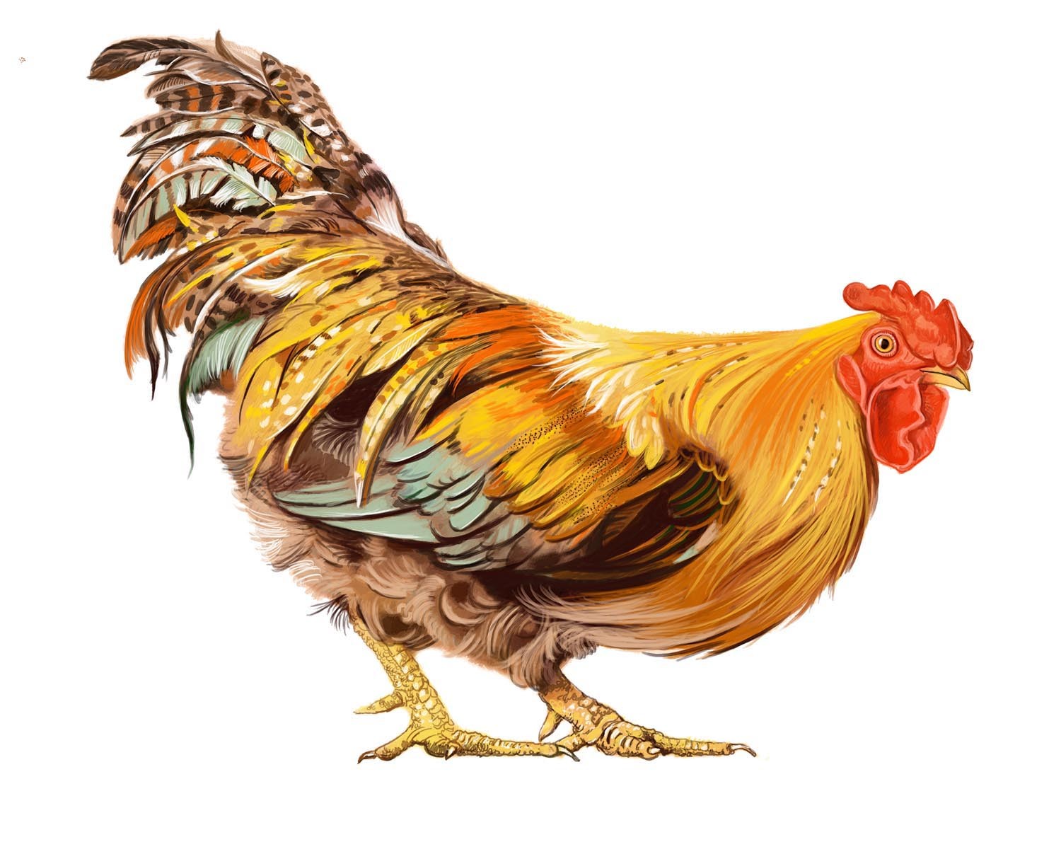 ArtStation - Chicken