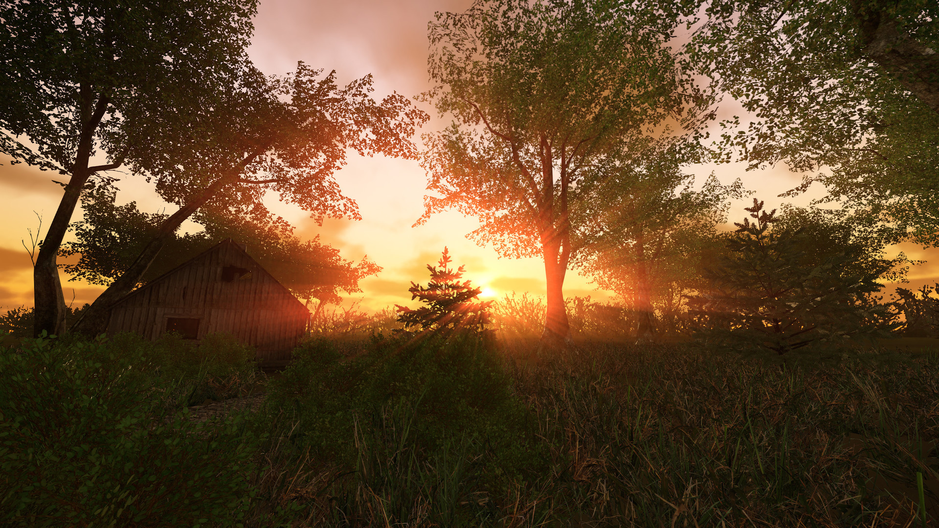 Ayan Banerjee - Morning Sky