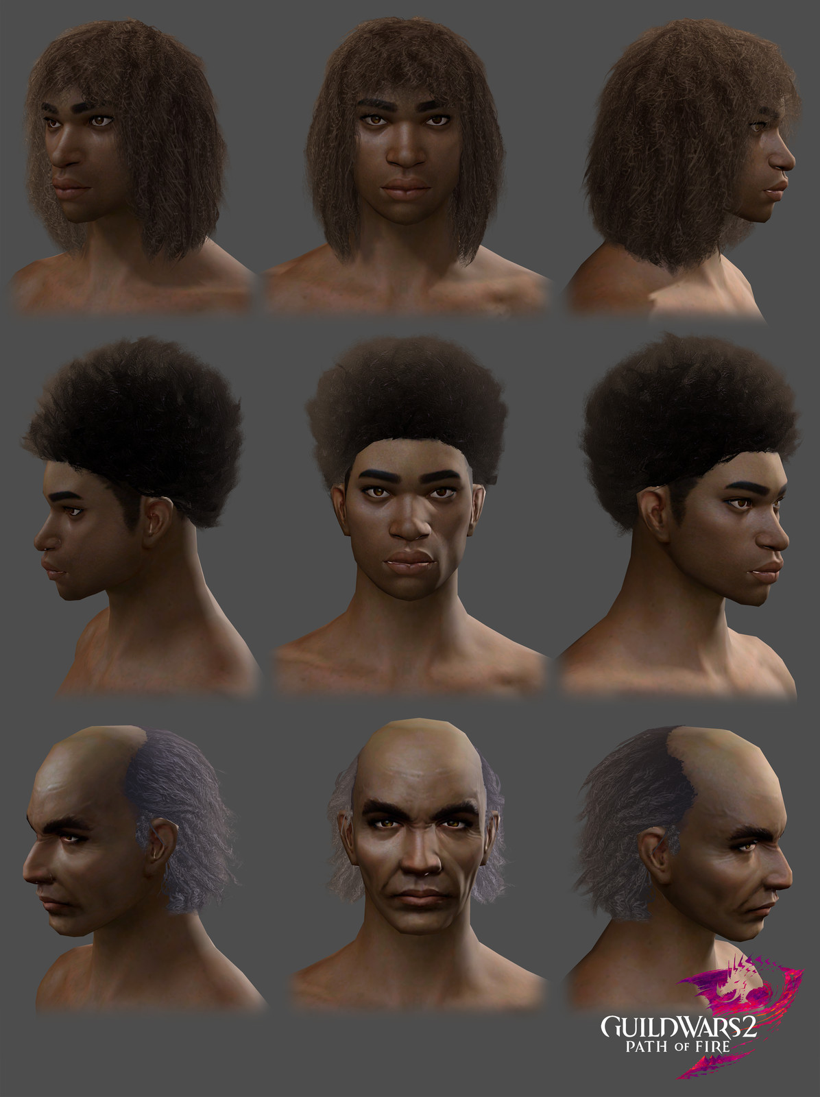 Vanessa Le - Hair & faces (GW2 - Path of Fire)