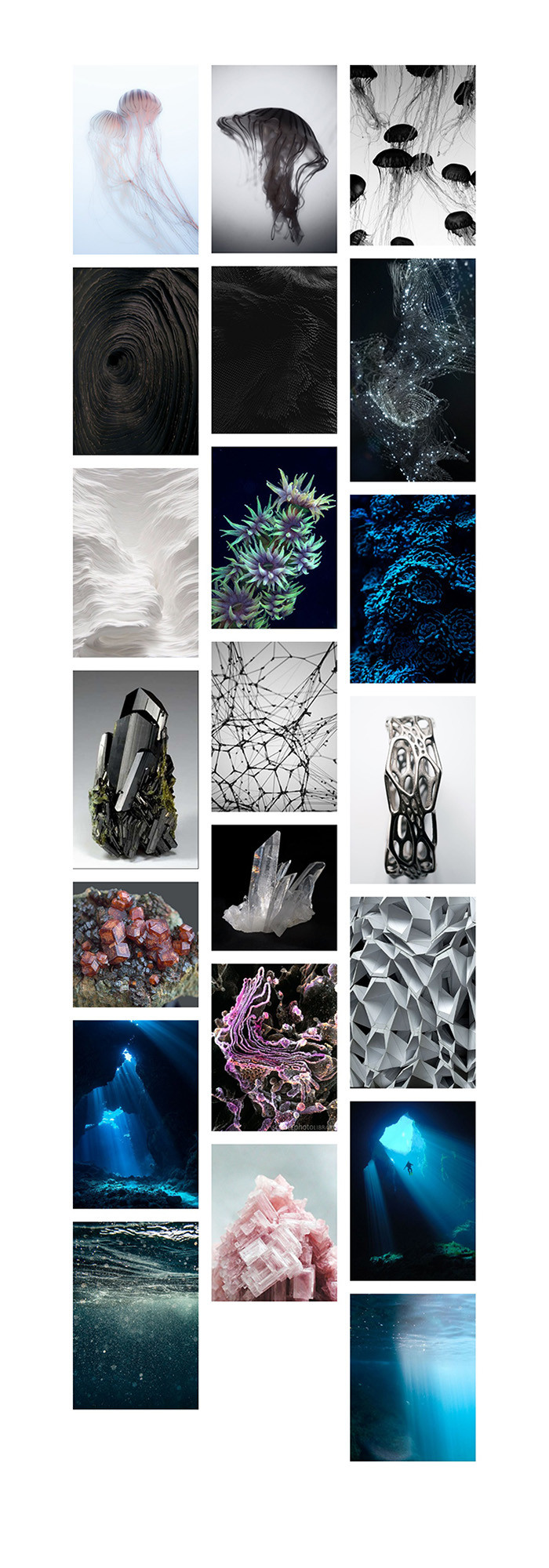 Tregg Frank - Underwater Crystal Flower