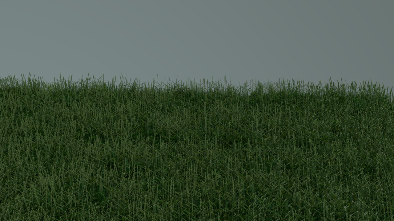 ArtStation - Grass Field
