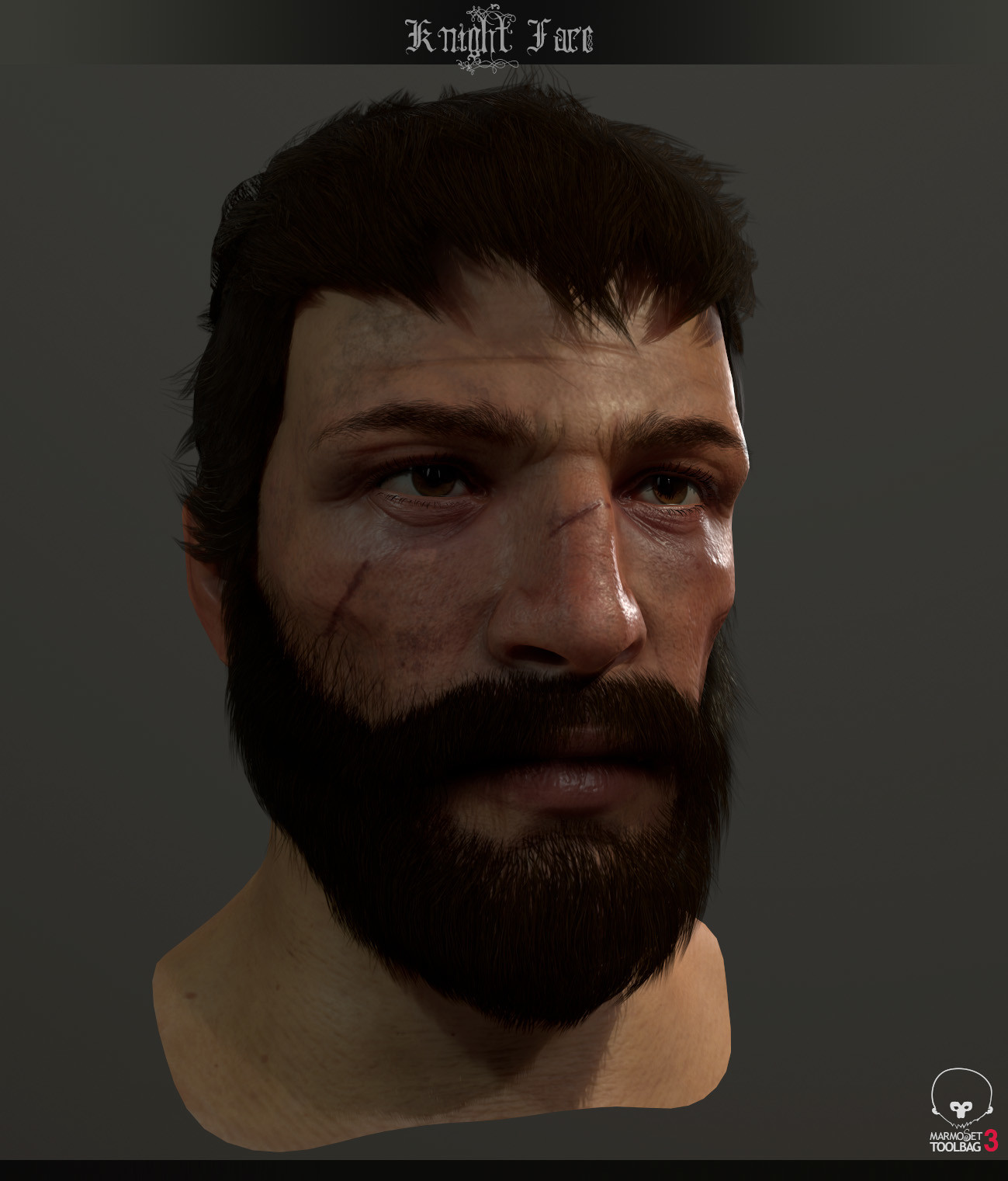 Roman Dcs - Wandering Knight templar