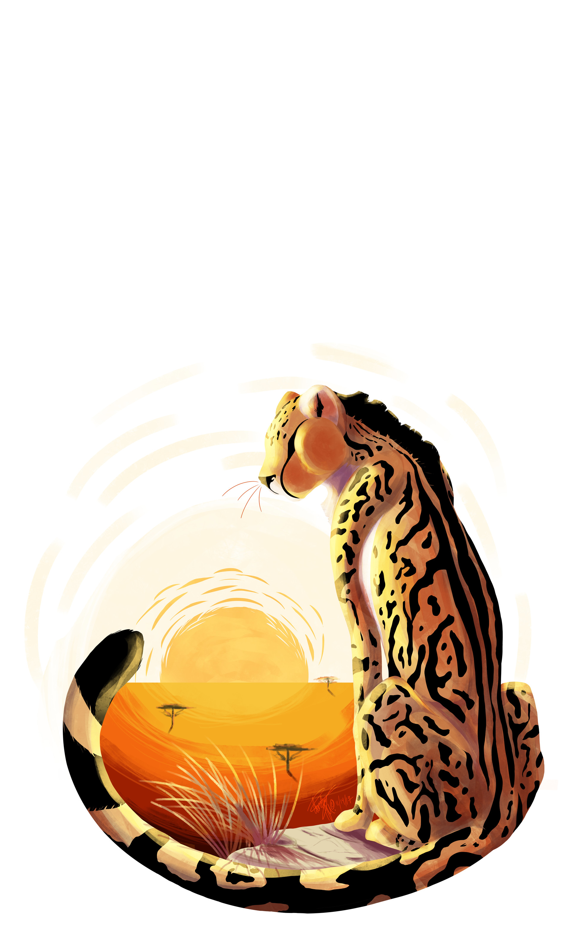 king cheetah pattern